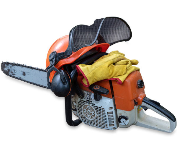 Tree Surgery Specialists | Wilby Tree